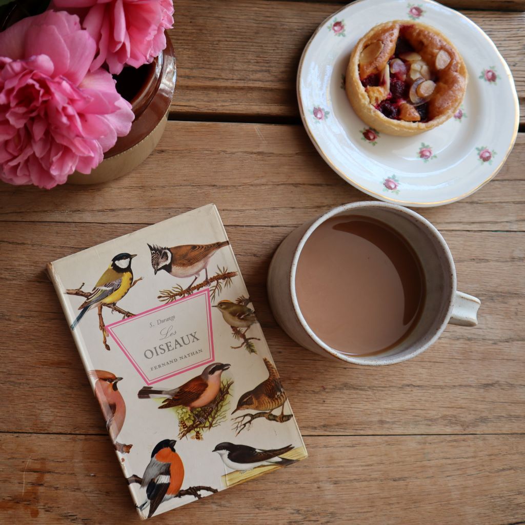 Les Oiseaux by Sigfrid Durango (Fernand Nathan Series) – Bramble & Fox®